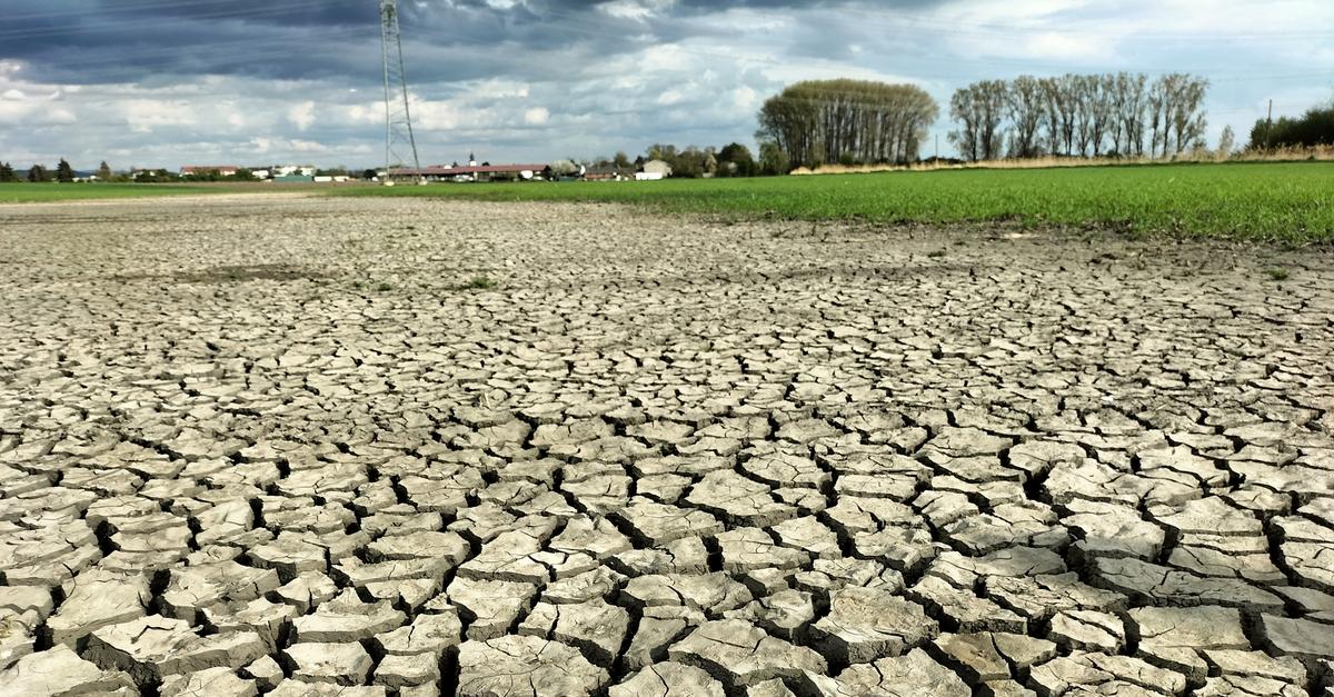 Trockenheit macht Landwirten auch in Bürstadt zu schaffen